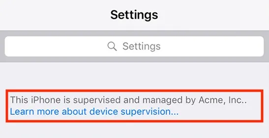 Yes, Your iPhone Can Get Hacked — Spot the Risks